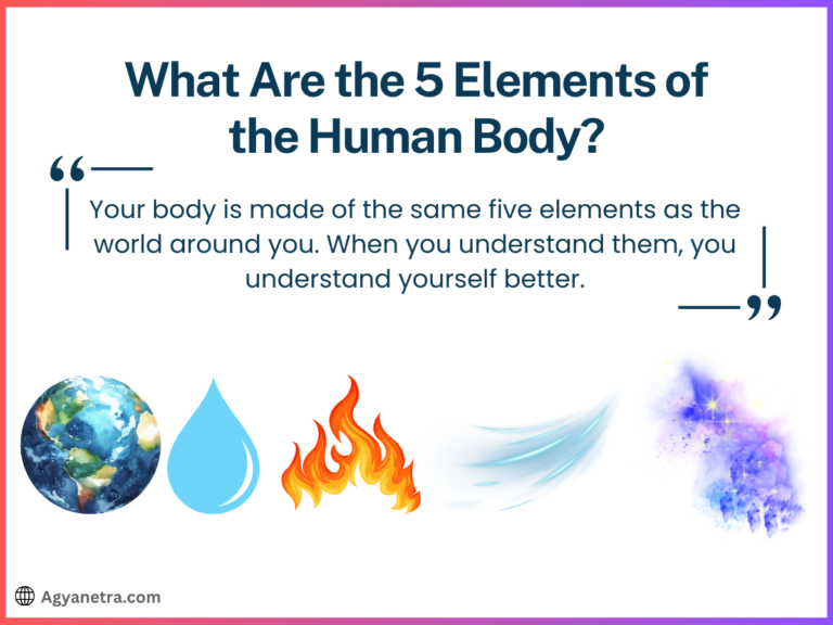 What Are the 5 Elements of the Human Body? A Deeper Look into Pancha ...